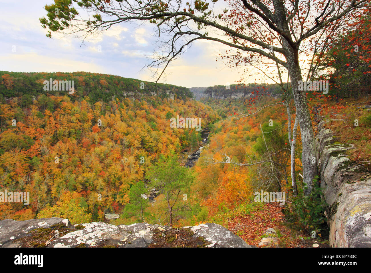 Wolf Creek Overlook, Little River Canyon National Preserve, Fort Payne ...