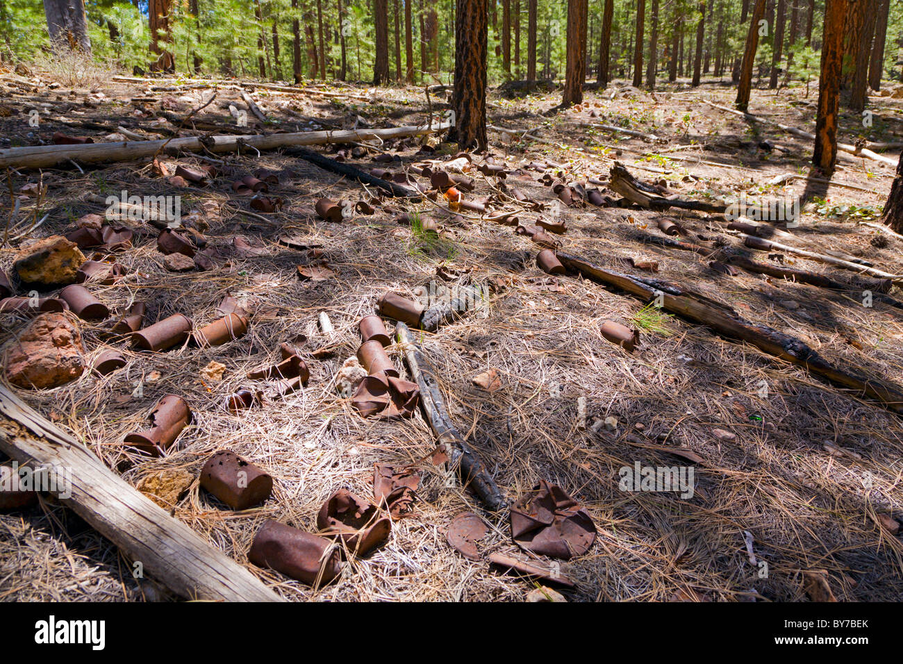 Dump forest hi-res stock photography and images - Alamy