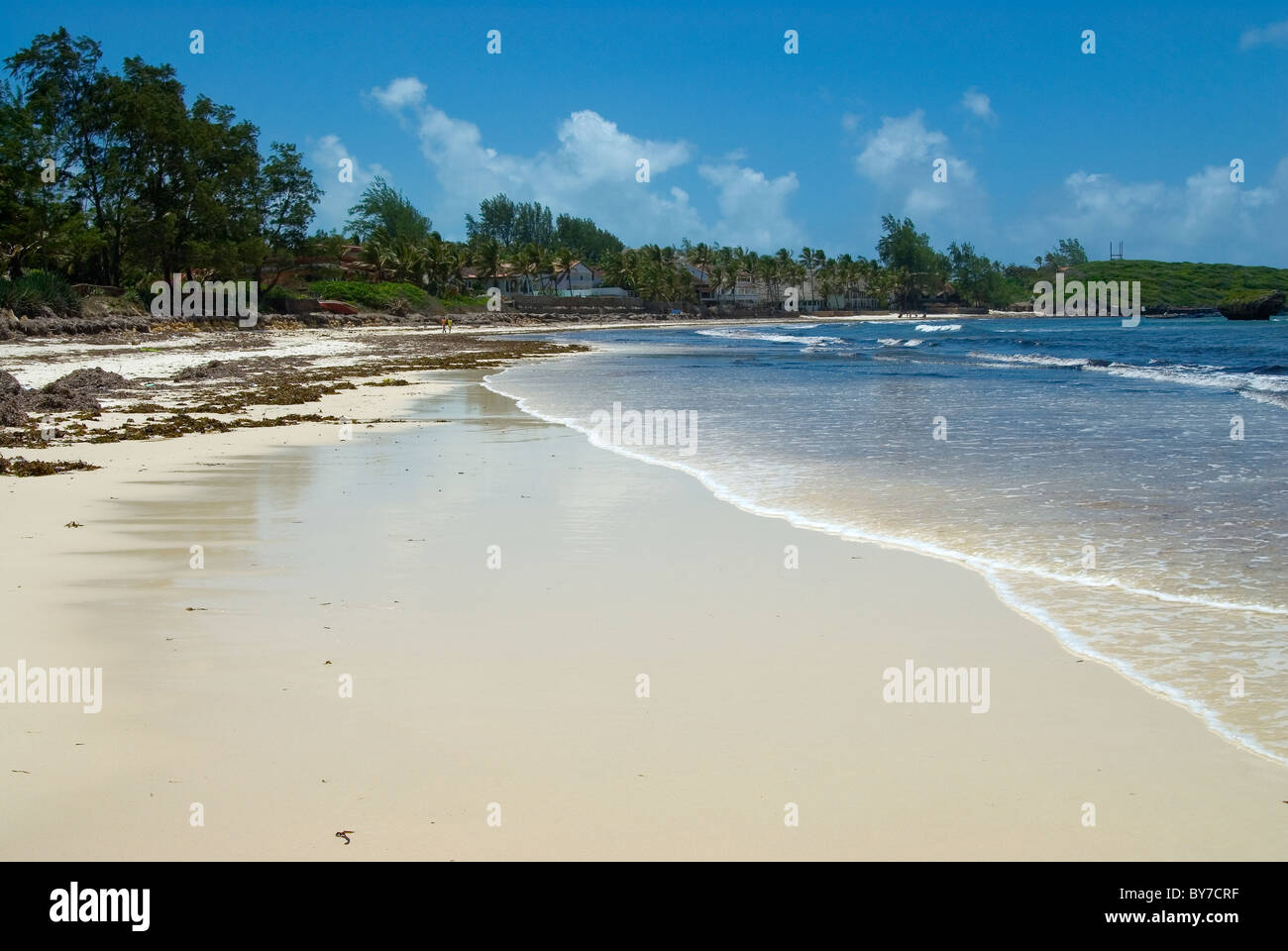 picture postcard image of the beach at turtle bay in front of ...