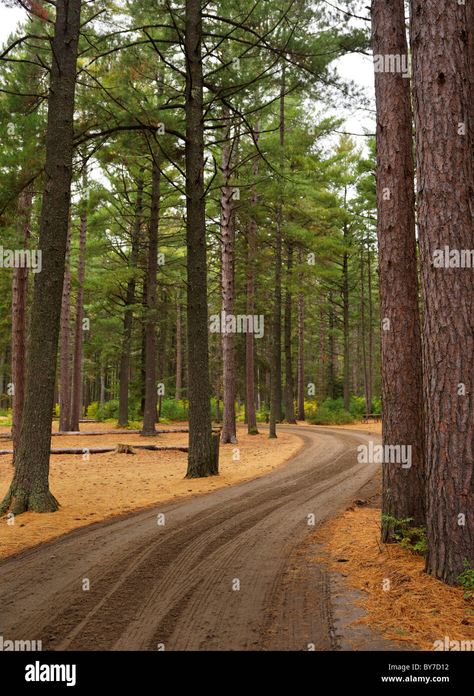 Winding unpaved road through beautiful fall nature scenery. Campground ...