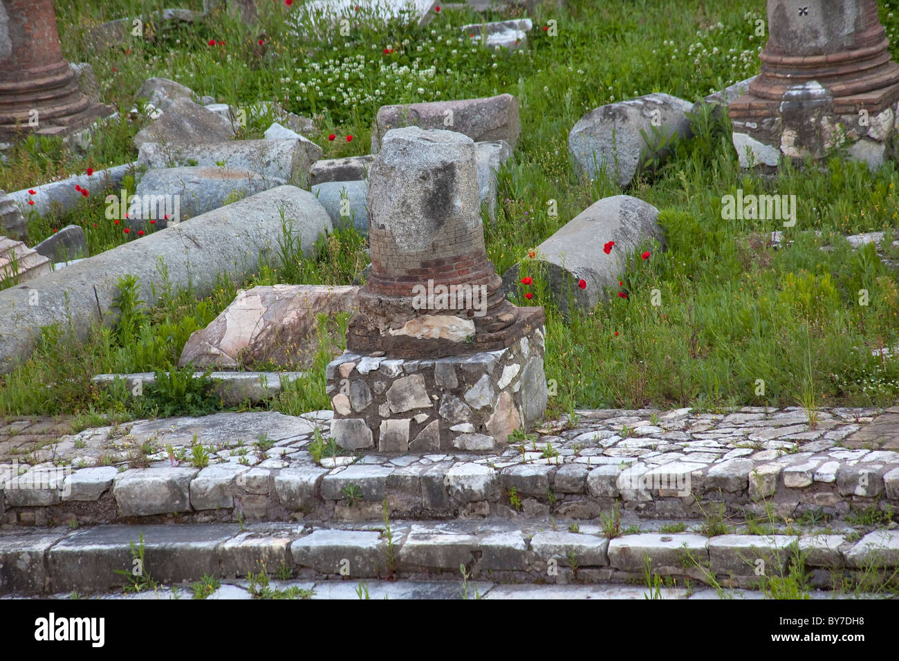 Forum Julius Caesar Ruins Column Stones Red Poppies Spring Flowers Rome ...
