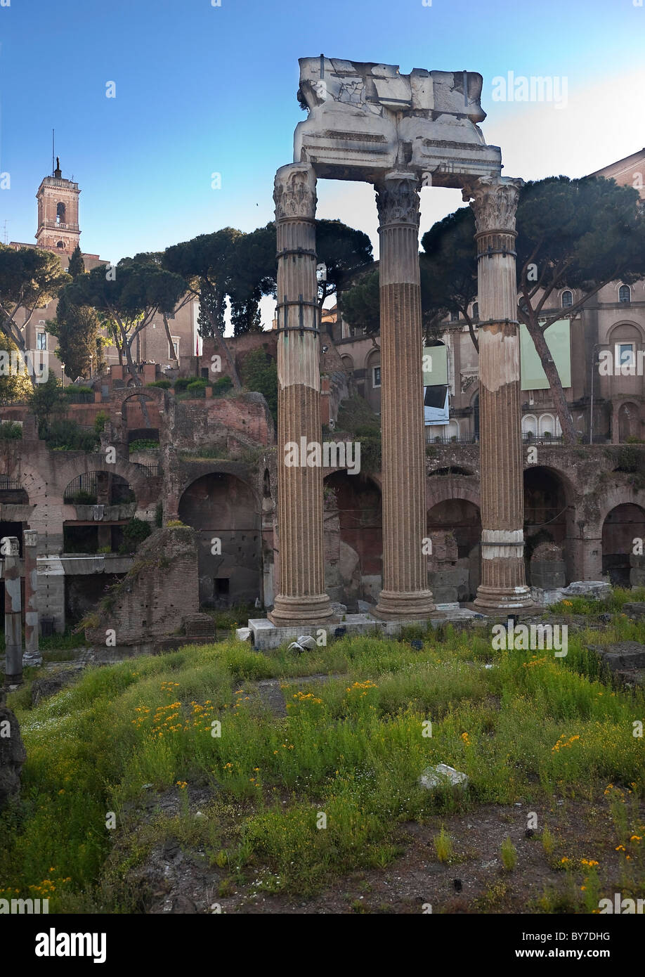Ruins, Corinthian Columns, of the Forum of Julius Caesar Spring Flowers ...