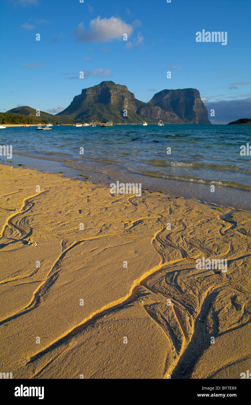 Lagoon beach, Lord Howe Island Stock Photo - Alamy