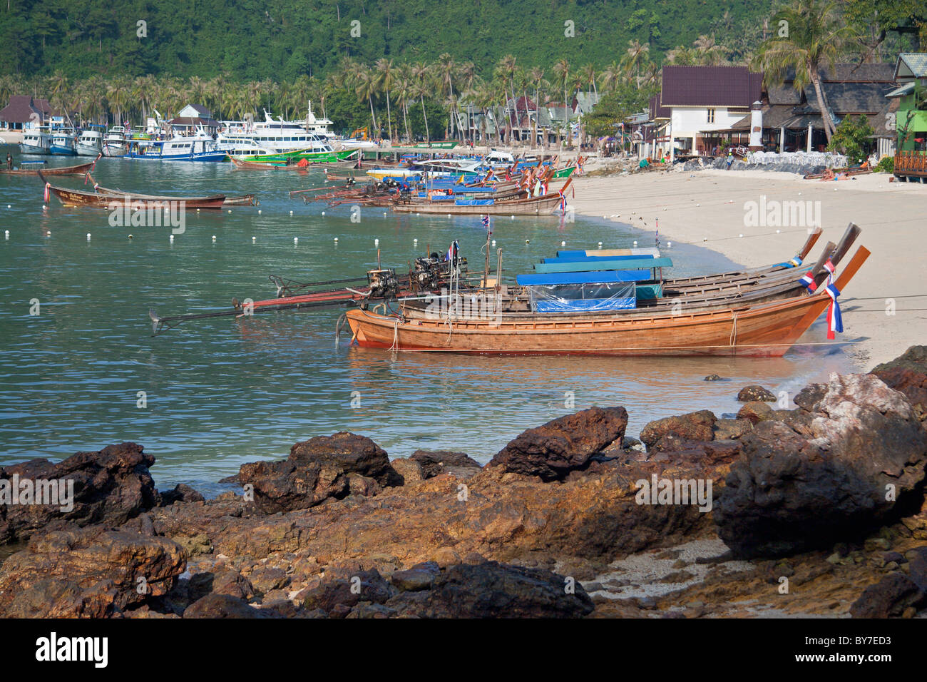 Hat tonsai hi-res stock photography and images - Alamy