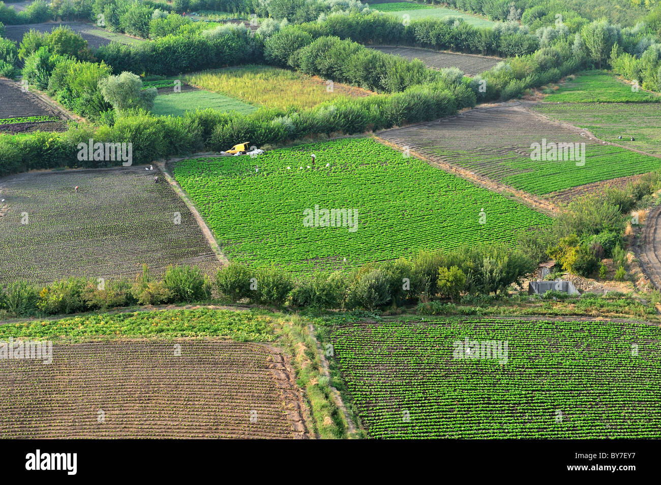 Rich farmland of Tigris valley, Diyabakir, Turkey 100925 367016 Stock ...