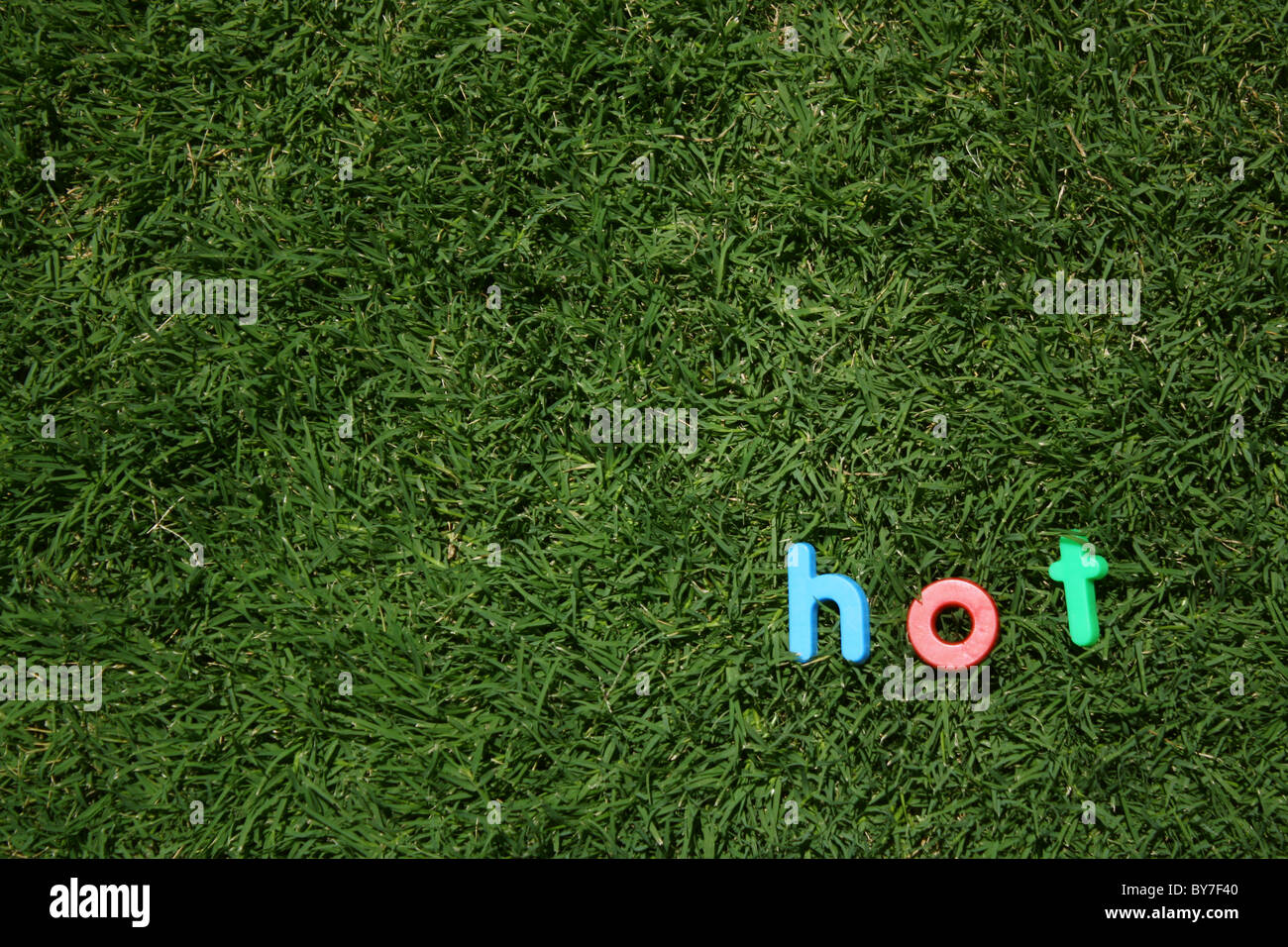 The word 'hot' spelled out in colourful plastic letters, on green grass ...