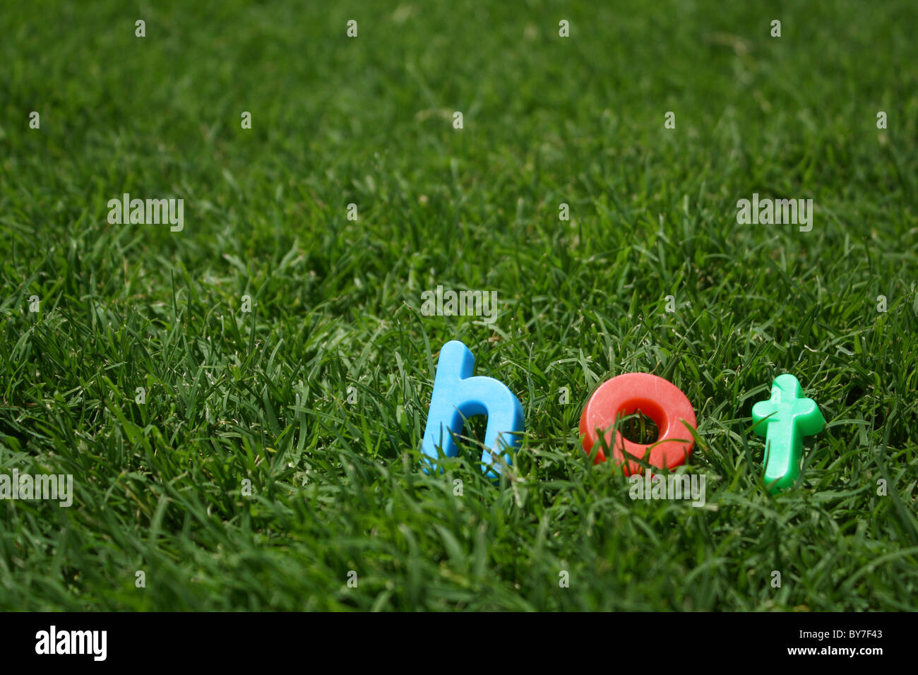 The word 'hot' spelled out in colourful plastic letters, on green grass ...