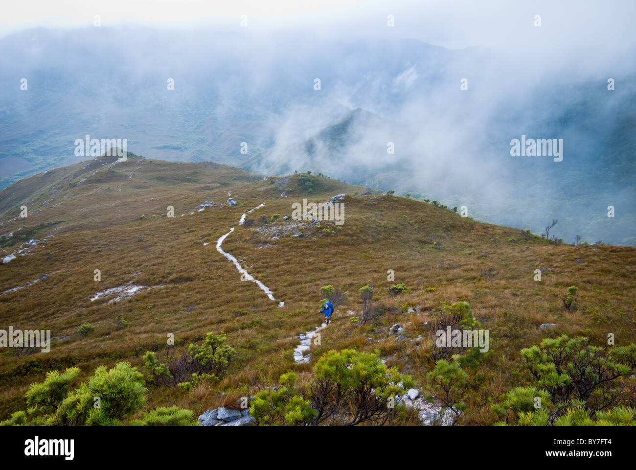 Ironbound tasmania hi-res stock photography and images - Alamy