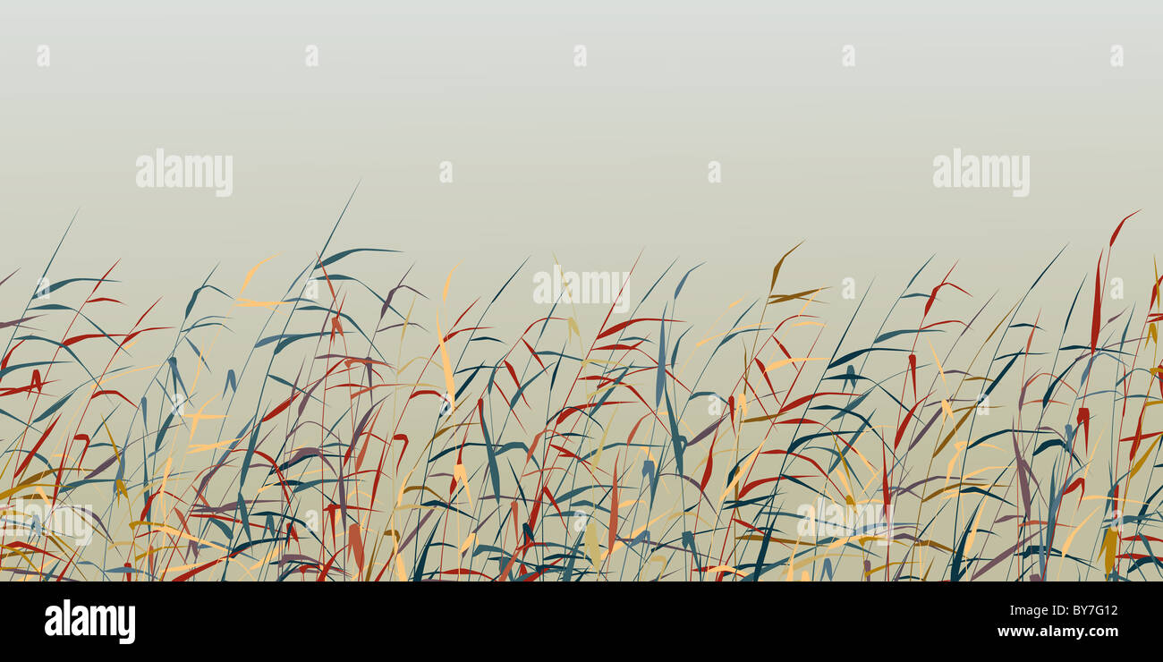 Illustrated silhouette of a colorful reed fringe Stock Photo - Alamy