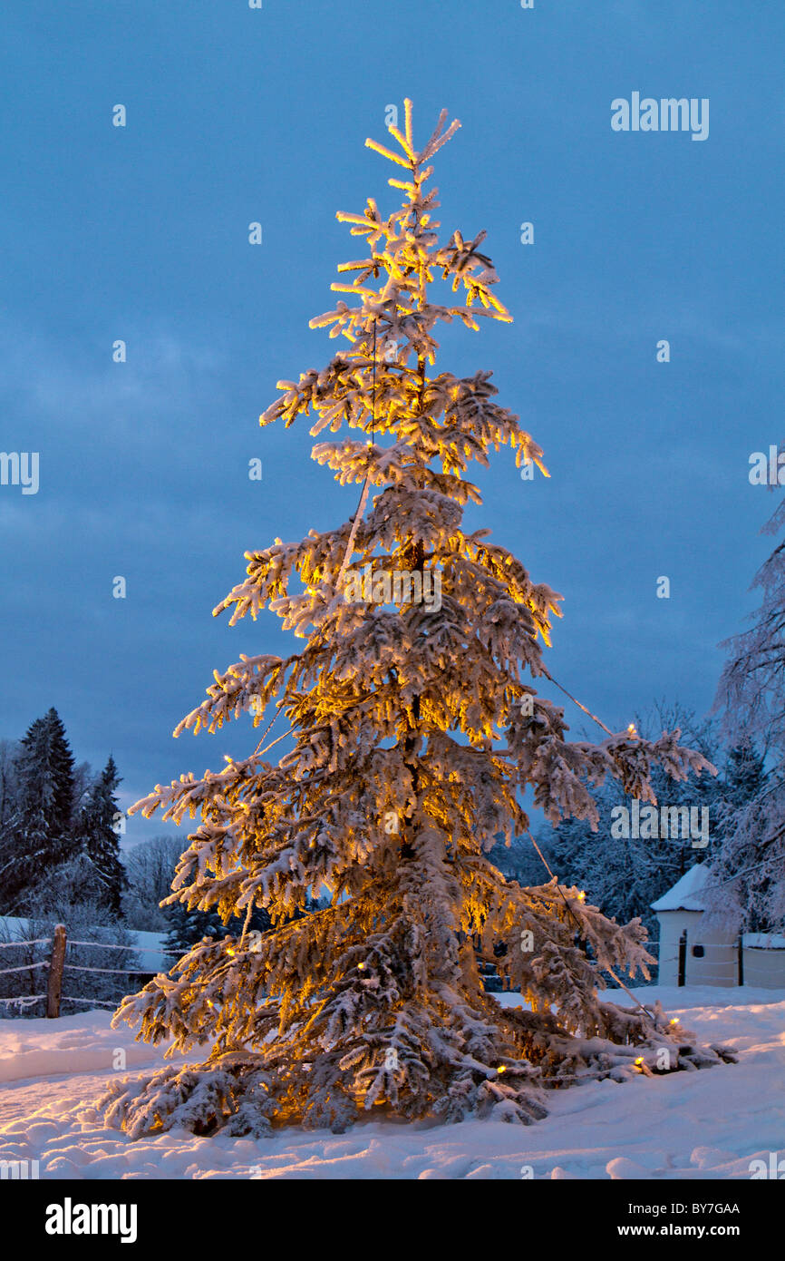 Illuminated christmas snow hi-res stock photography and images - Alamy