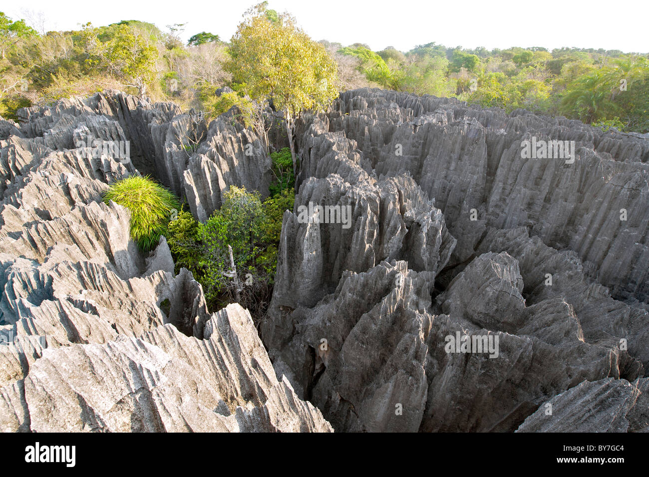 Tsingy de bemaraha national park hi-res stock photography and images ...