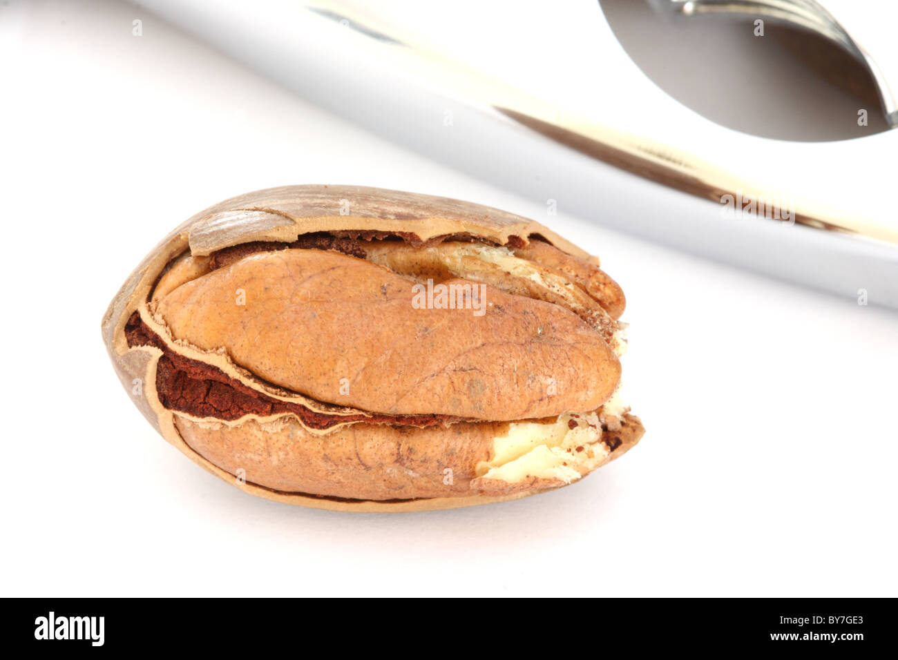 Detail view of single pecan nut and nut-cracker on white background ...