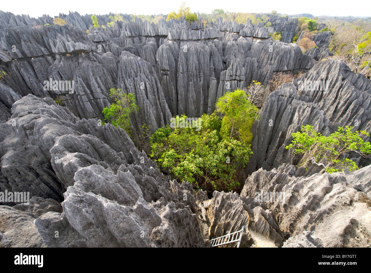View across the Grand Tsingy landscape in the Tsingy de Bemaraha ...