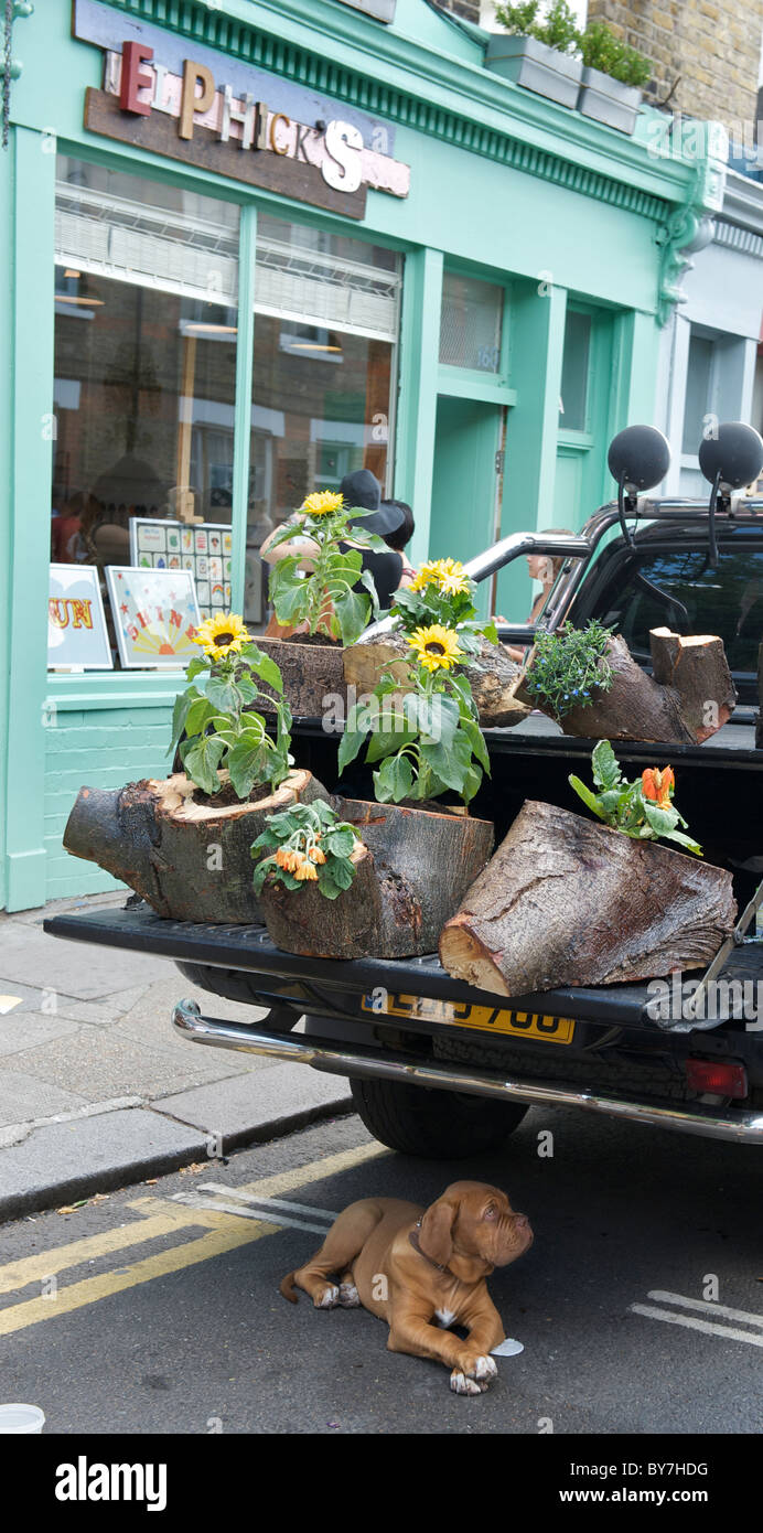 Sunday flower market day on Columbia Road, Hackney in East London a ...