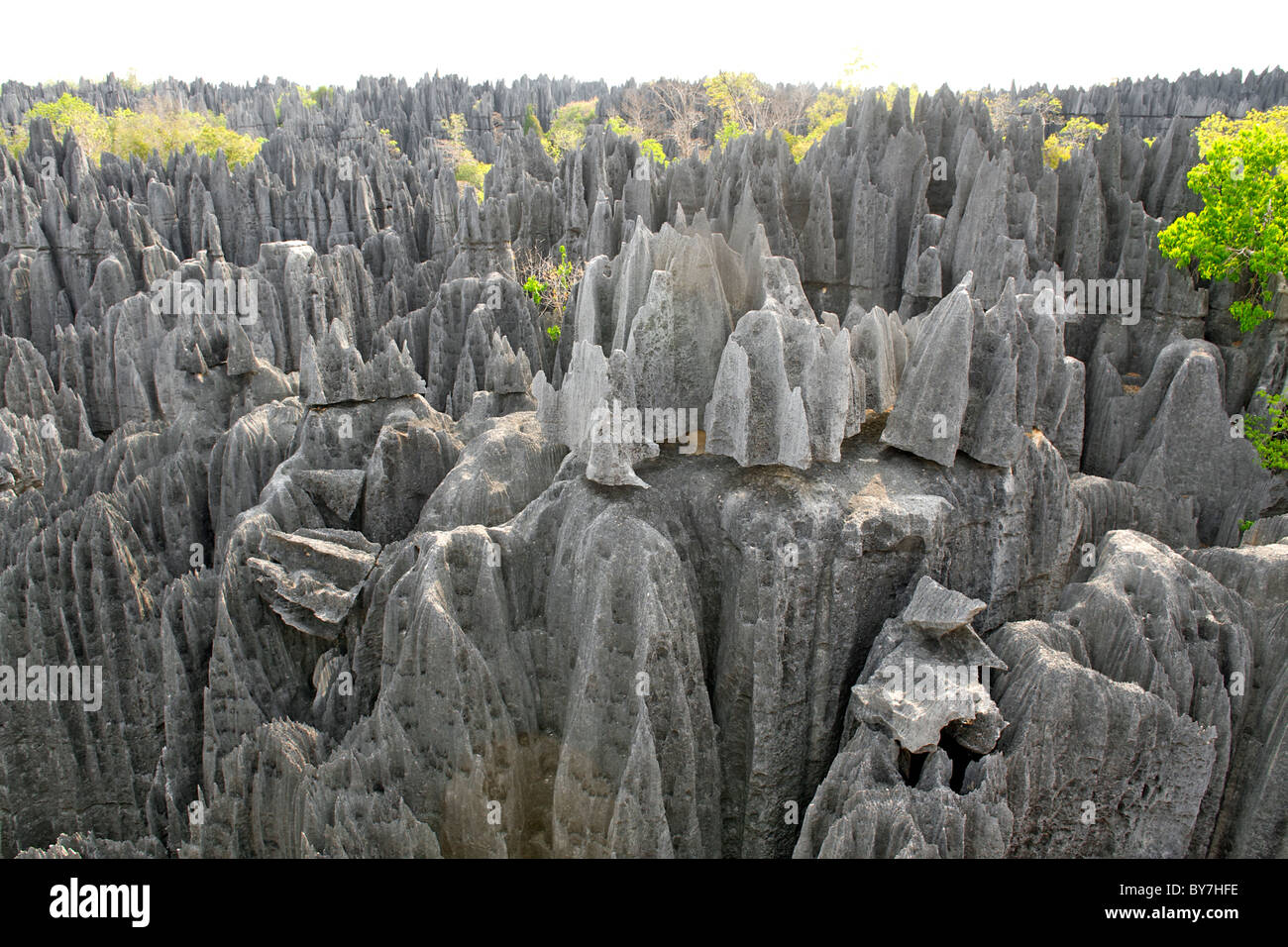 Tsingy De Bemaraha National Park Stock Photos & Tsingy De Bemaraha ...