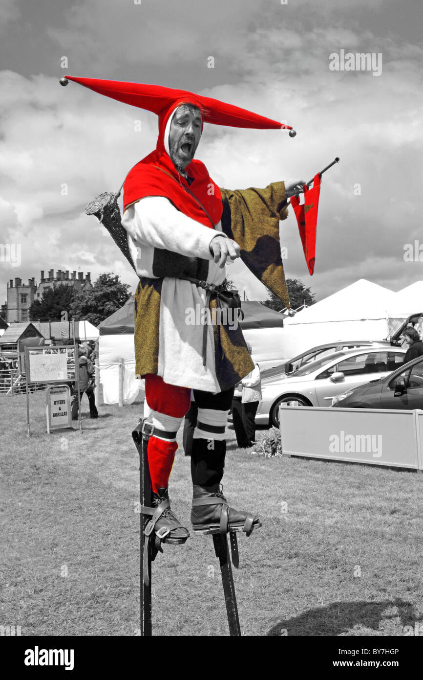 Medieval court jester hi-res stock photography and images - Alamy