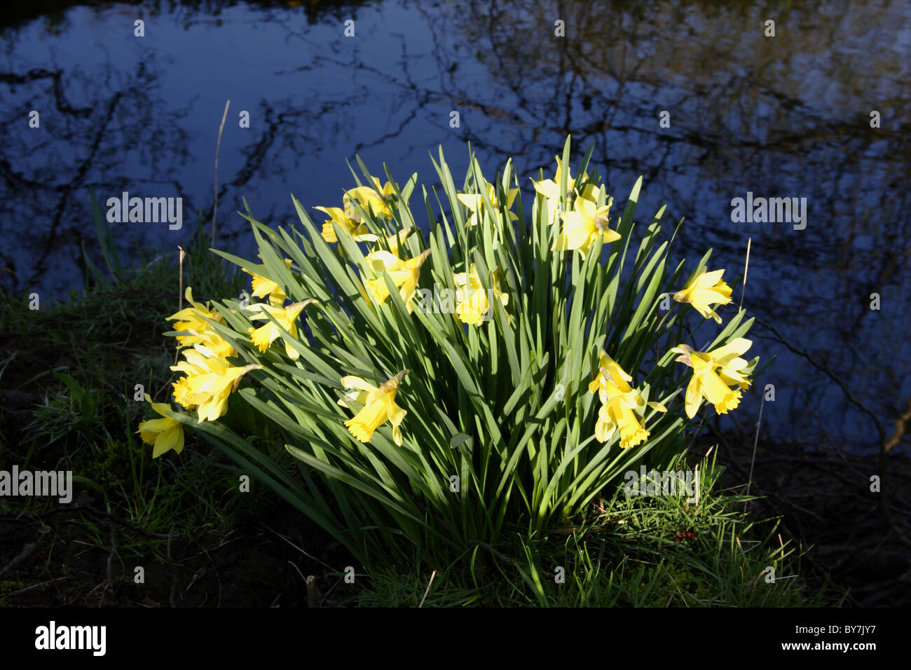 Edge of north york moors national park hi-res stock photography and ...