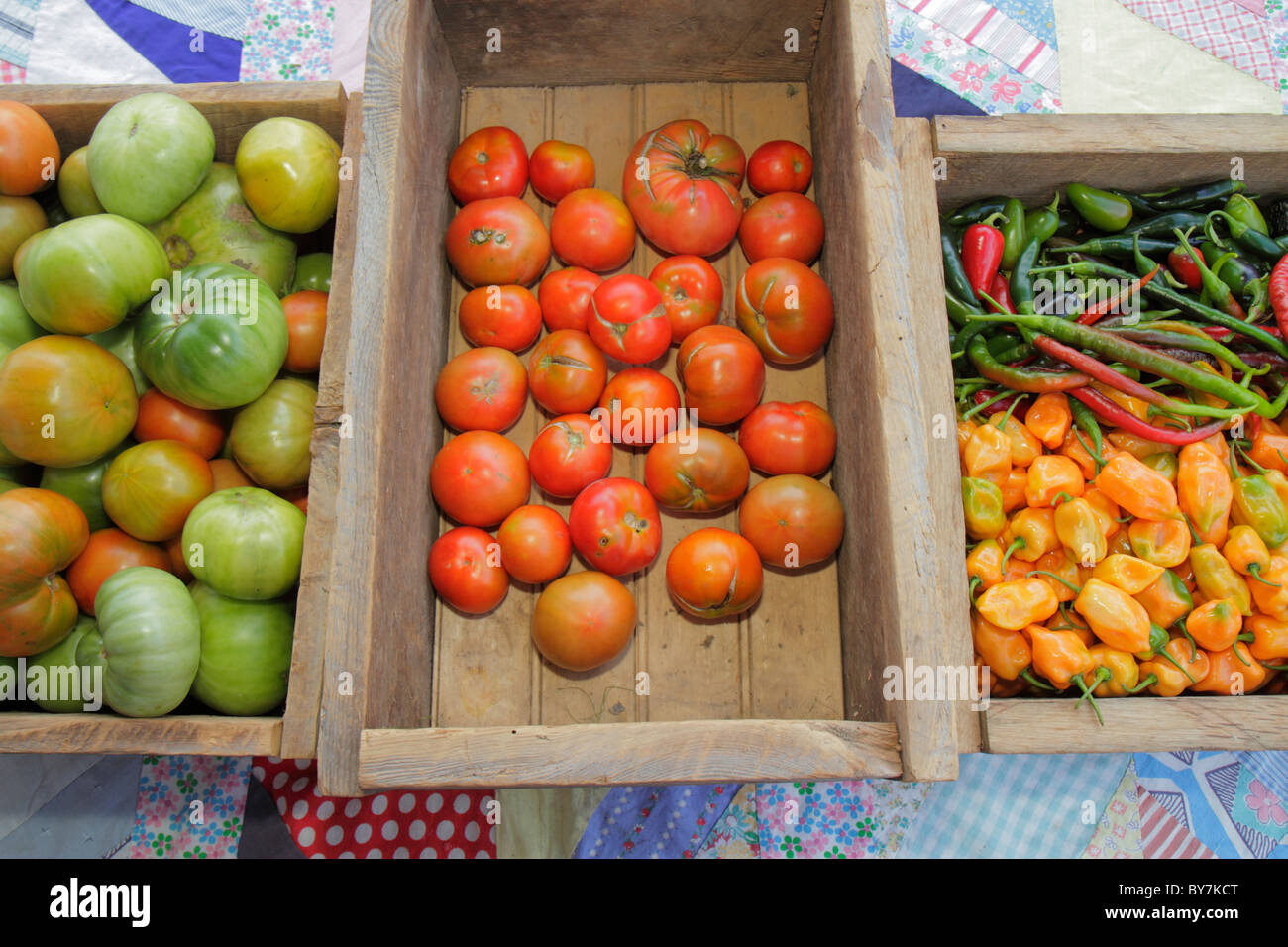 Chattanooga Tennessee,Main Street Farmers Market,farmer's,farmers ...