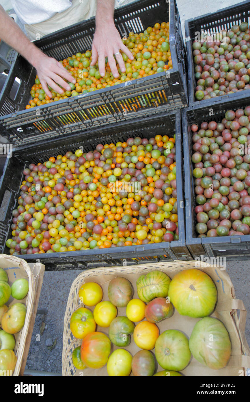 Chattanooga Tennessee,Main Street Farmers Market,farmer's,farmers ...