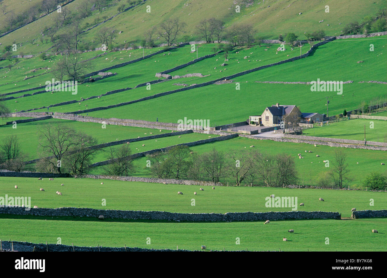 Drystone walls, limestone landscape, Wharfedale valley, Yorkshire Dales ...
