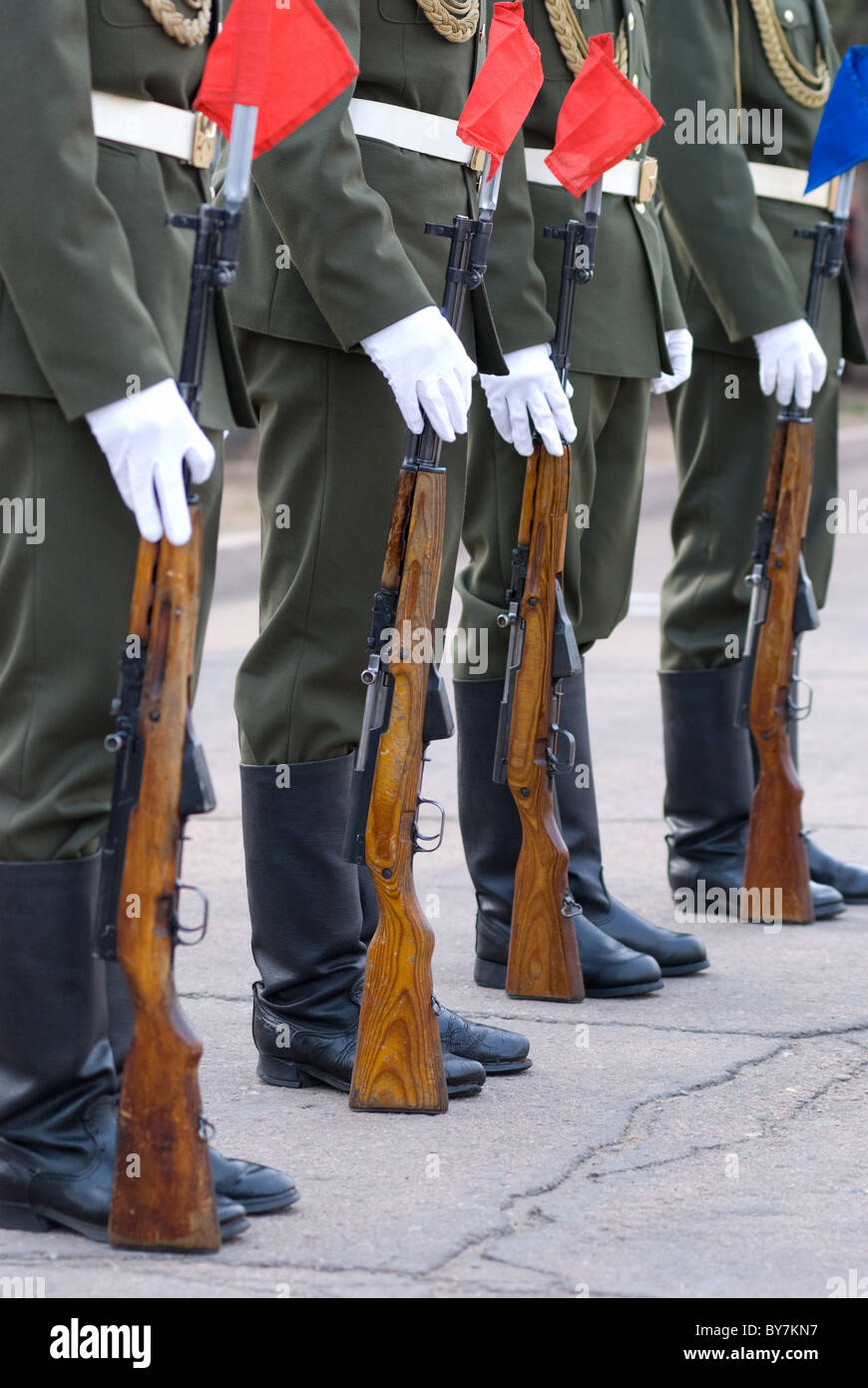 guard of honour - line of soldiers in full dress with their guns beside ...