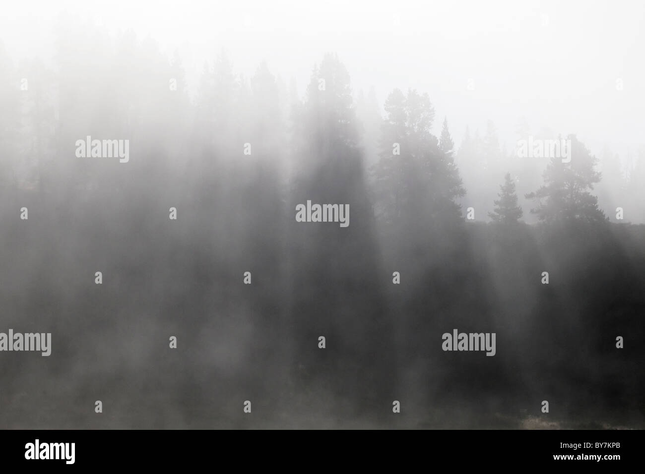 Daybreak in Yellowstone Stock Photo - Alamy