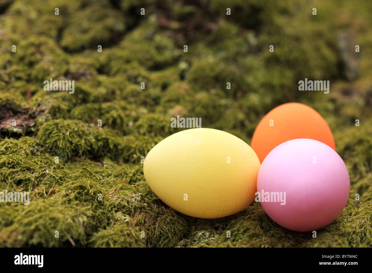 Painted easter eggs with moss hi-res stock photography and images - Alamy