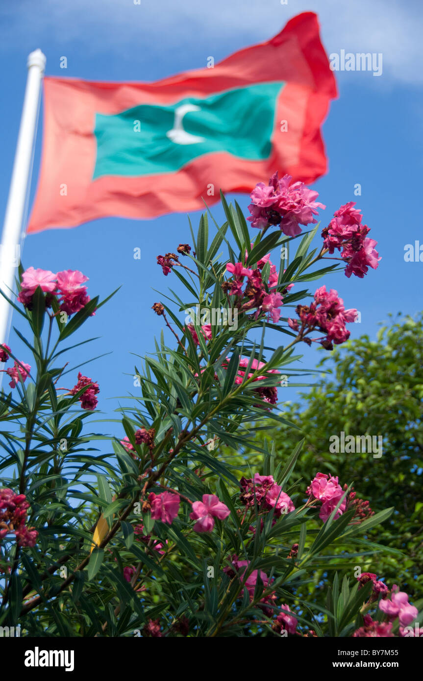 Maldives, Male. Capital city of Maldives archipelago. Maldivian flag ...