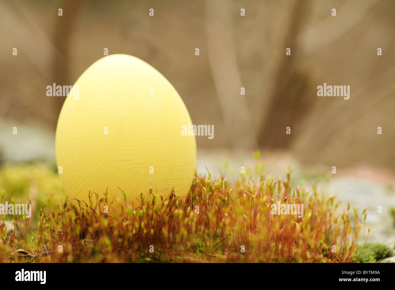 Yellow easter egg on moss Stock Photo - Alamy