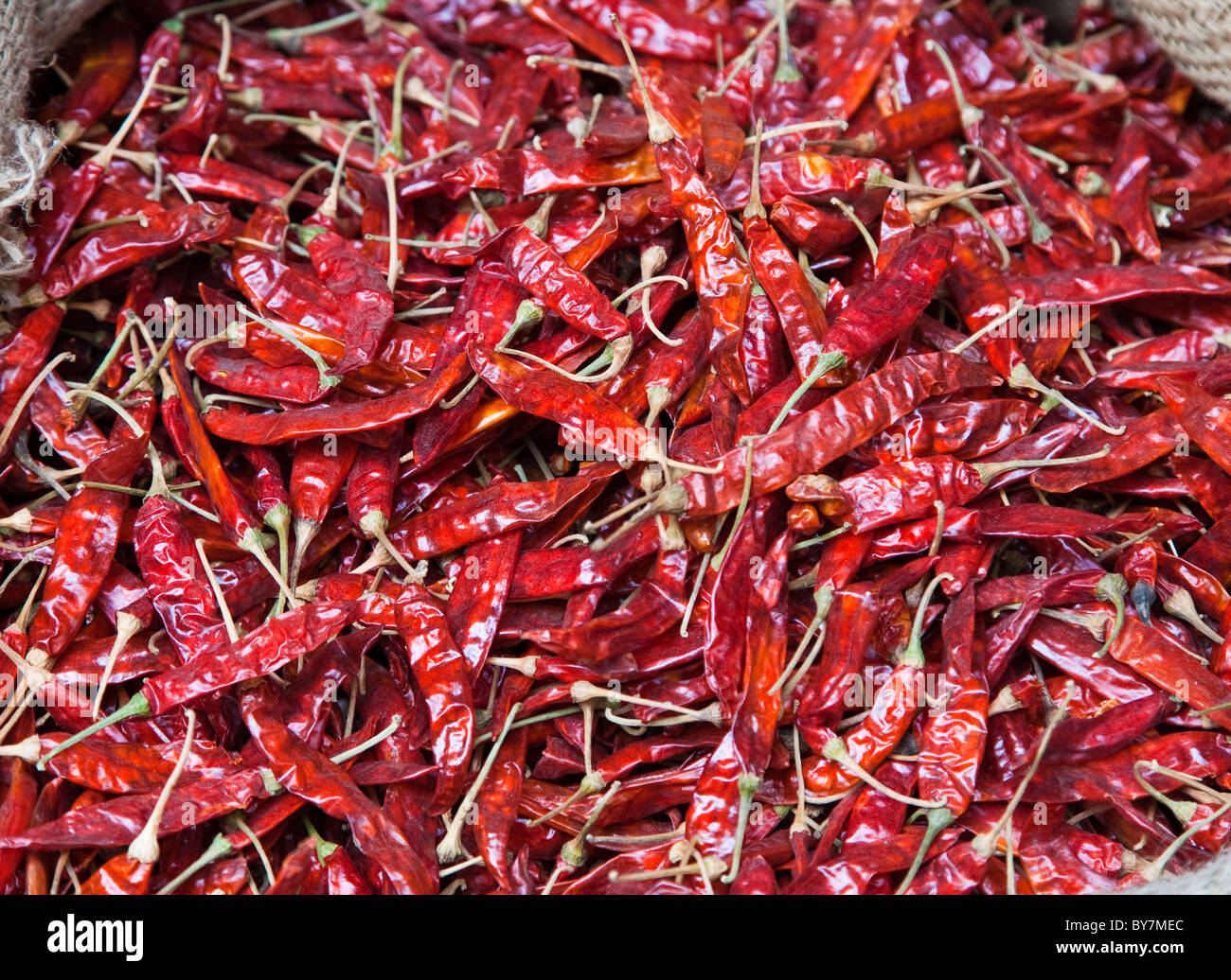 Nepal chilli hi-res stock photography and images - Alamy