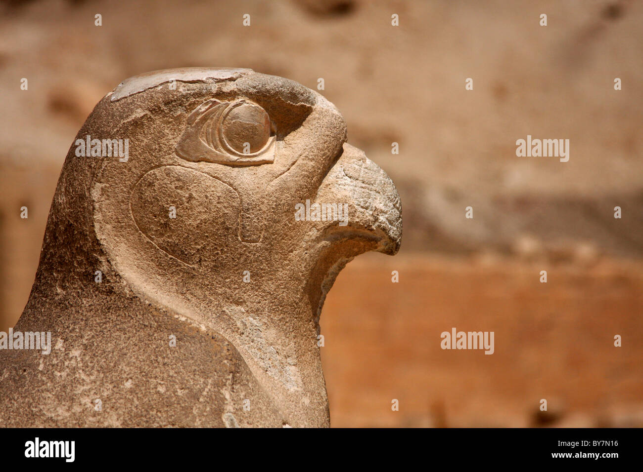 Horus as falcon hi-res stock photography and images - Alamy