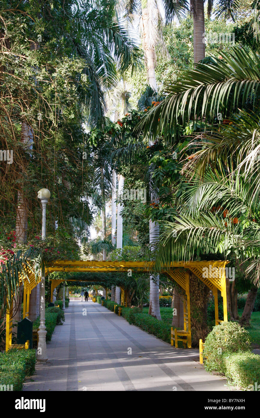 Pathways on Kitchener Island, at Aswan, Egypt Stock Photo - Alamy