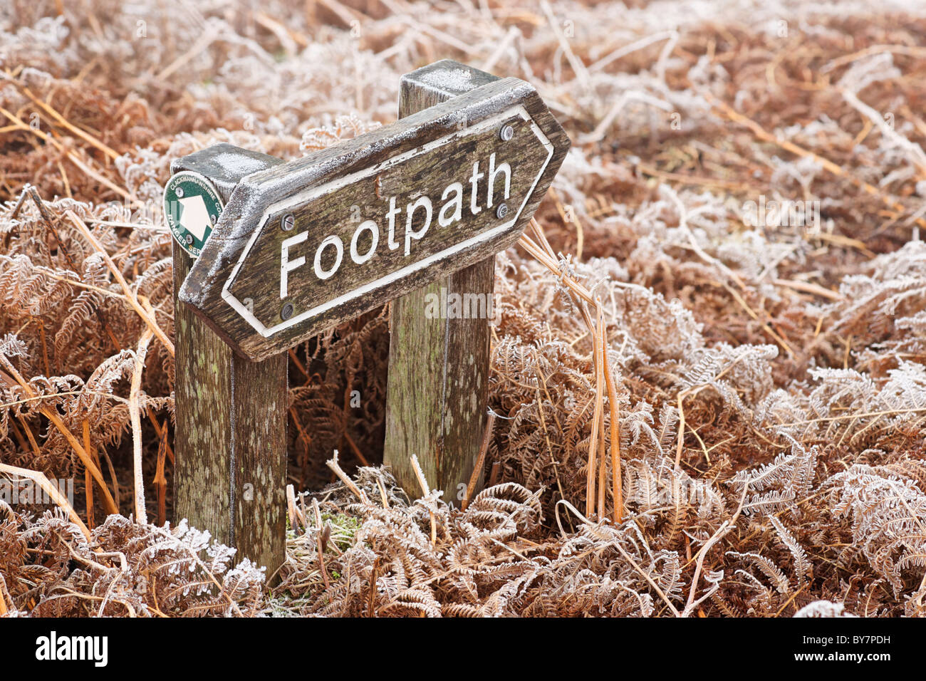 Frosted bracken hi-res stock photography and images - Alamy