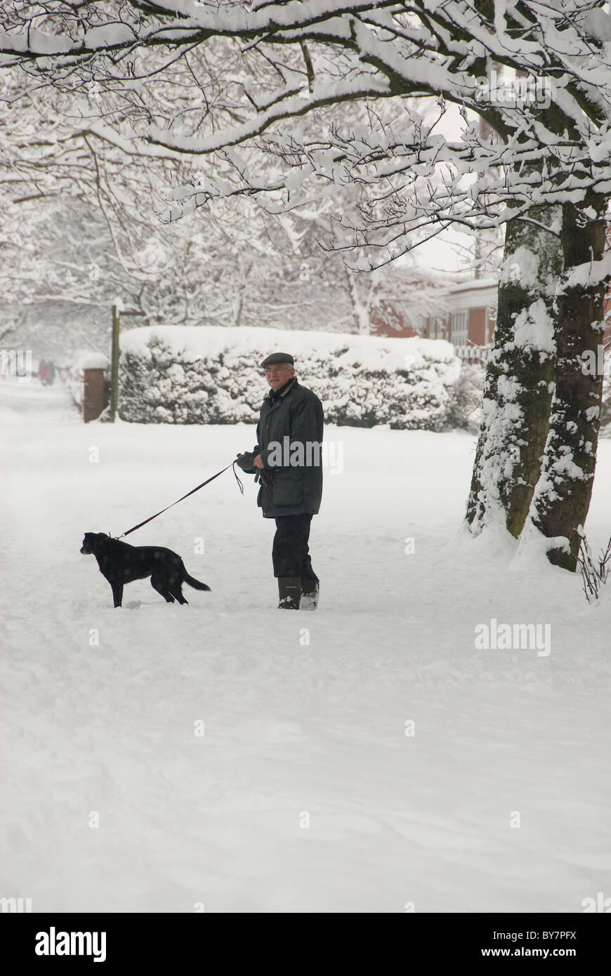 Man walking his dog in wintry setting Stock Photo - Alamy