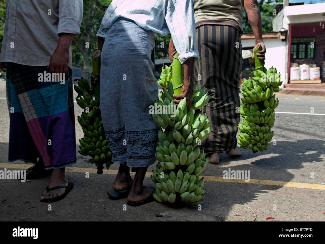 Pussellawa hi-res stock photography and images - Alamy