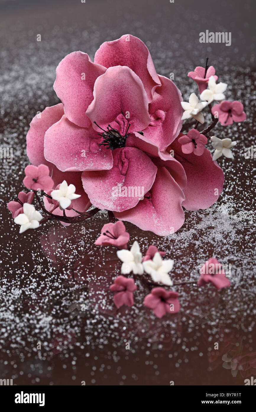 Sugar art hi-res stock photography and images - Alamy
