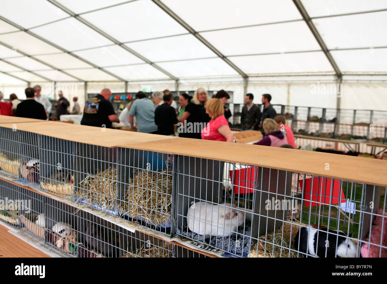 united kingdom west sussex parham the west sussex county fair the ...