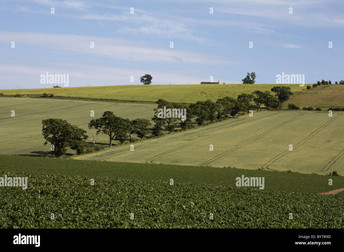 Flodden Field 1513 the site of the battle near the village of Branxton ...