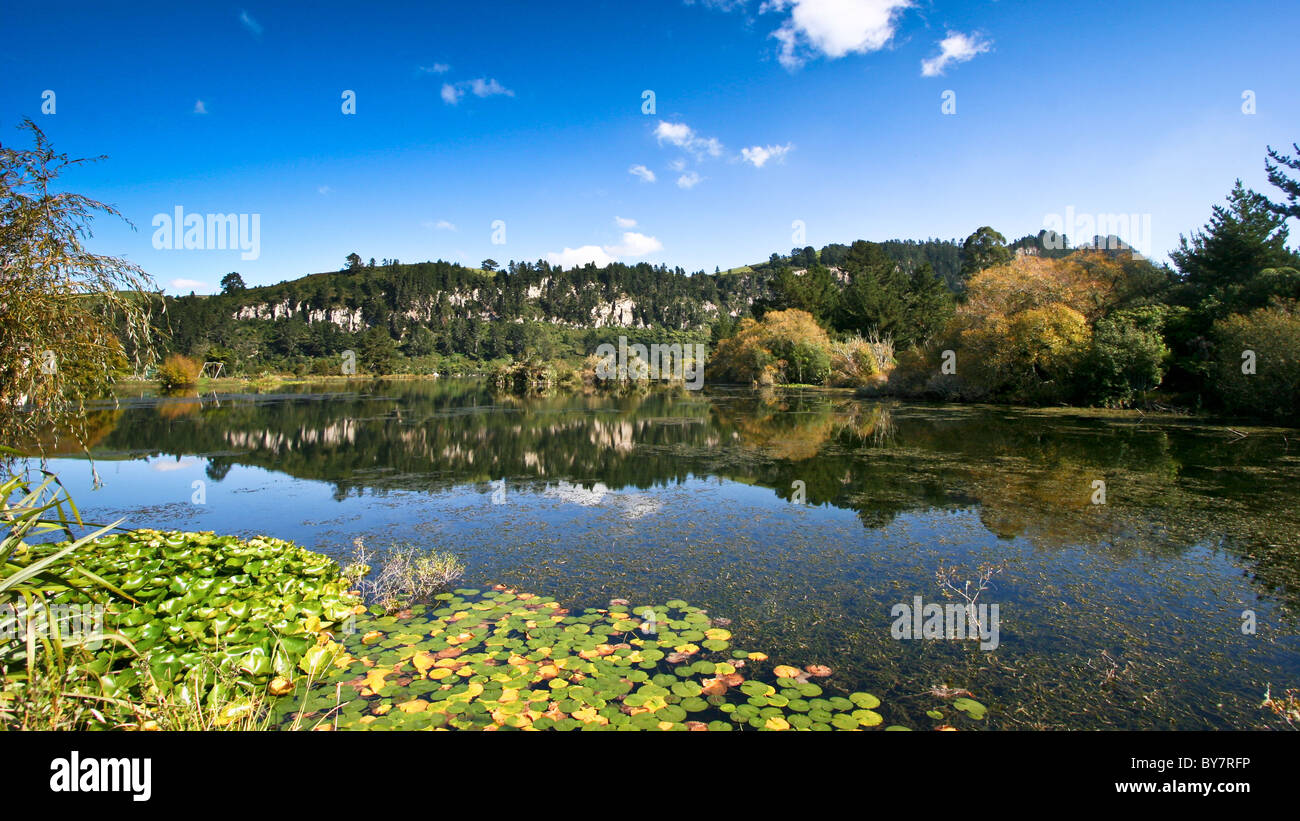 Reflective Lakes, Whanganui National Park, New Zealand Stock Photo - Alamy