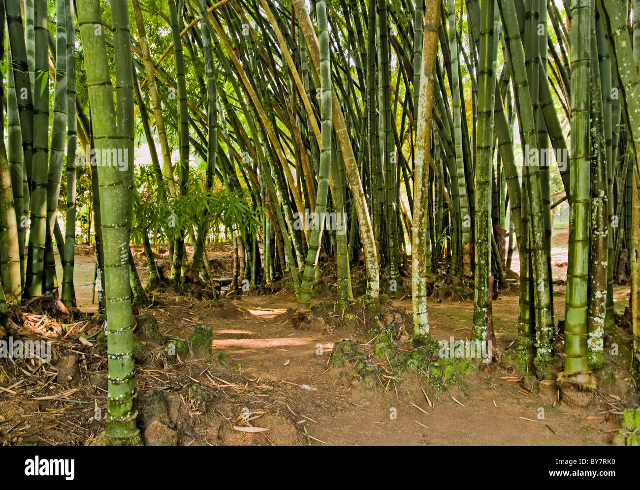 Katugasthota peradeniya road hi-res stock photography and images - Alamy