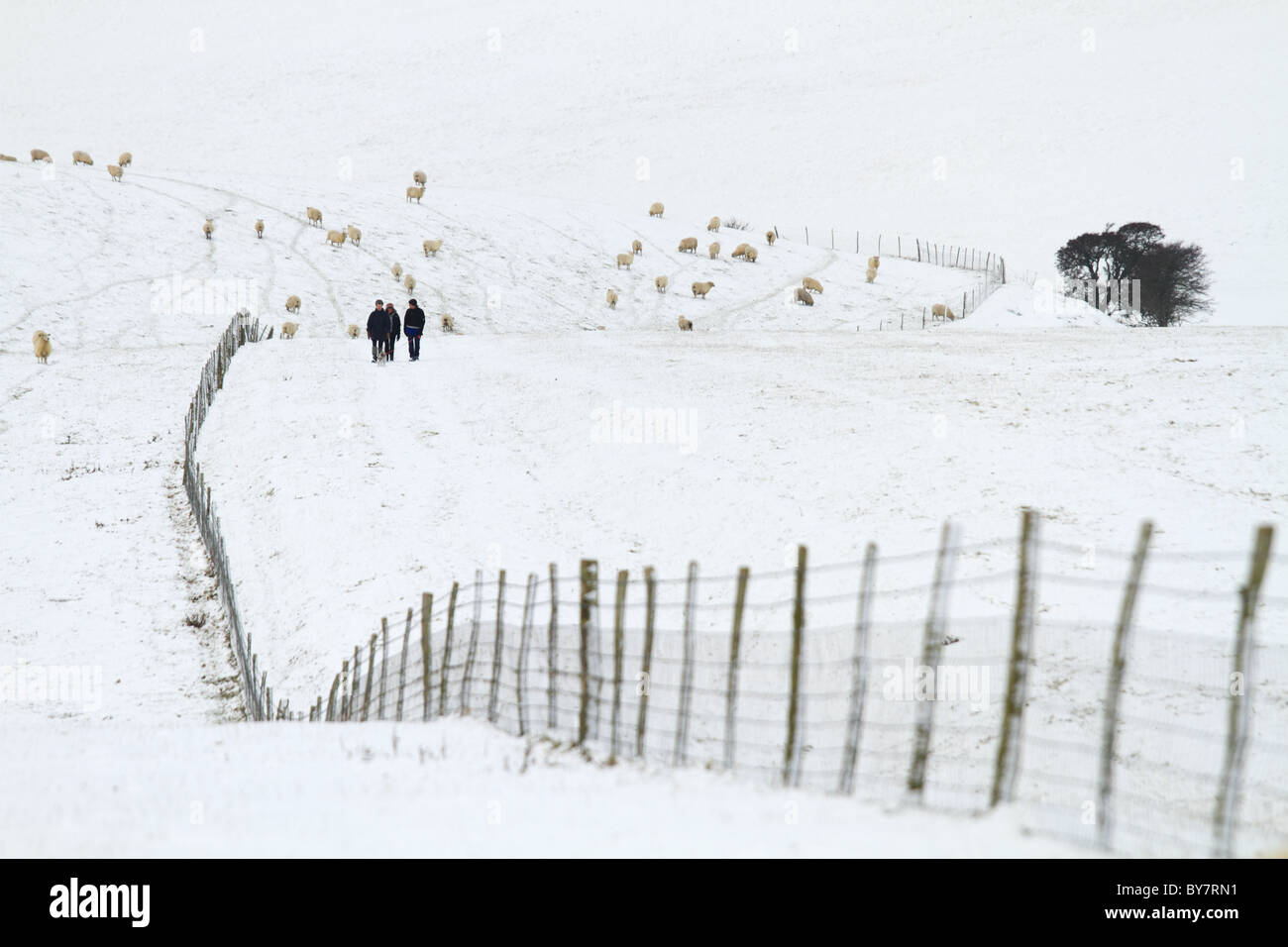 Three walkers follows the fence-line in deep snow on the The South ...