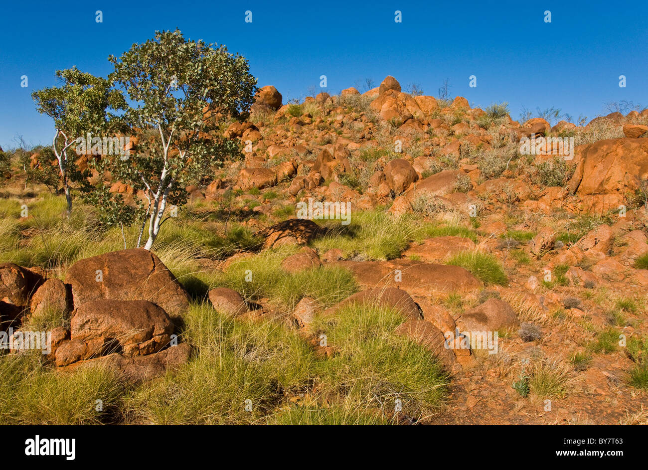 landscape in the australian outback, northern territory Stock Photo - Alamy