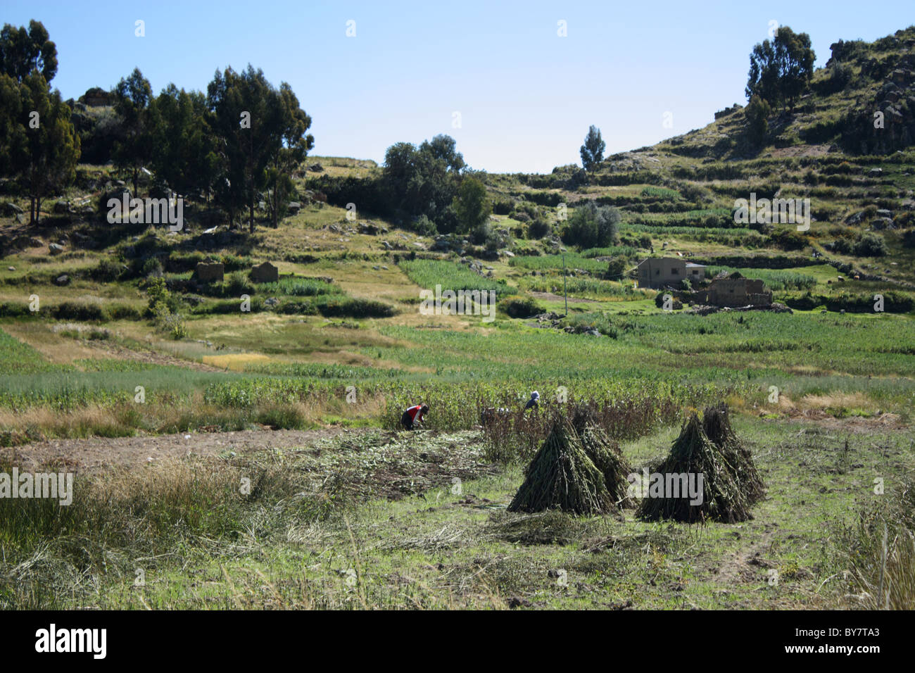 Field workers hi-res stock photography and images - Alamy