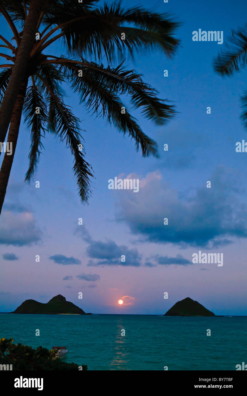 Moon between clouds in hi-res stock photography and images - Alamy