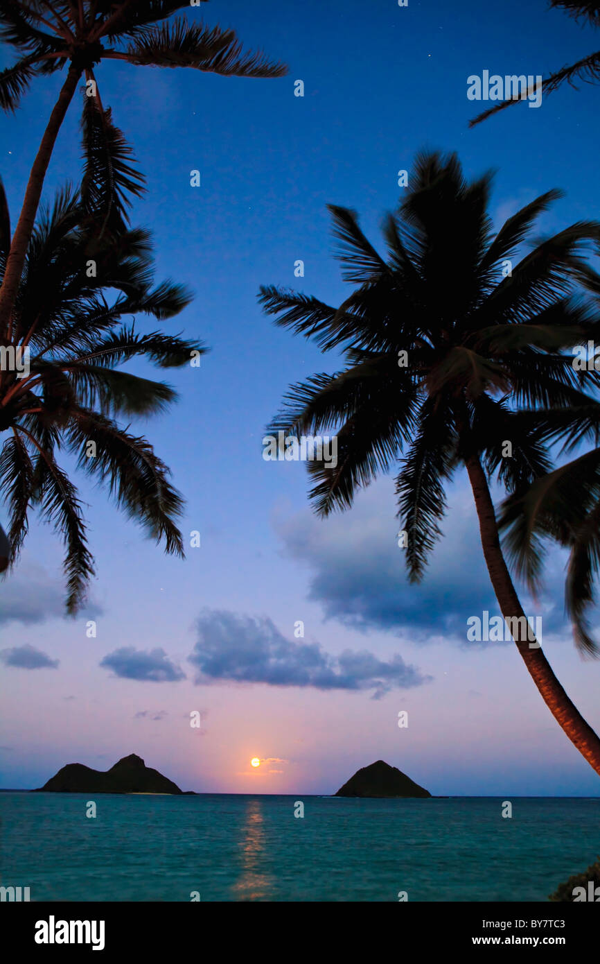 Oahu hawaii hi-res stock photography and images - Alamy