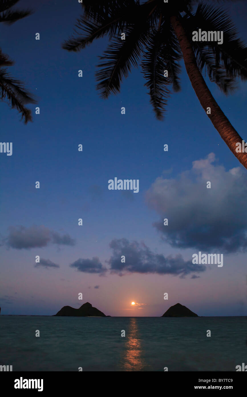 Full hawaii hi-res stock photography and images - Alamy