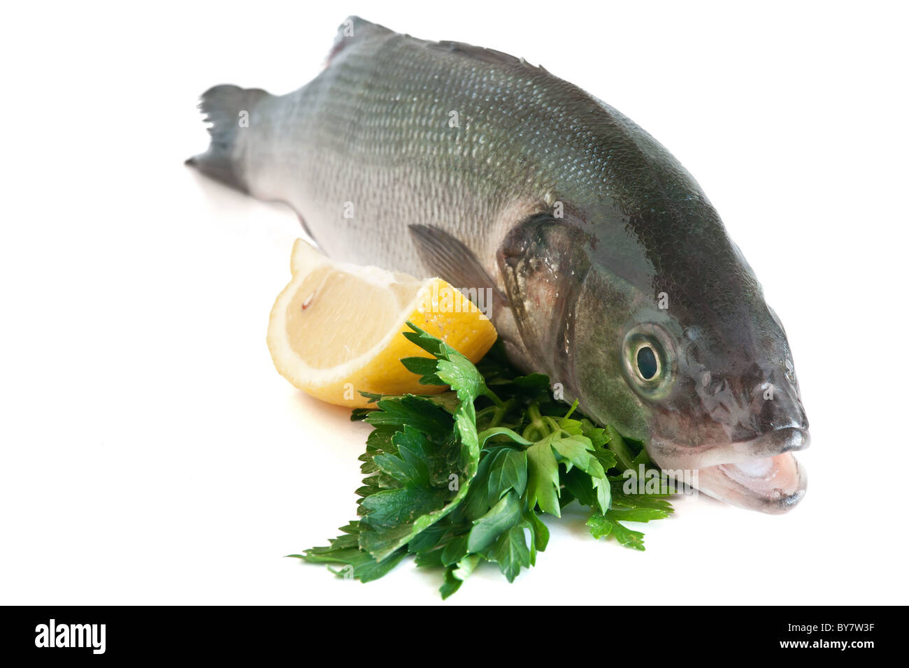 Sea bass with lemon and parsley isolated on white background Stock ...