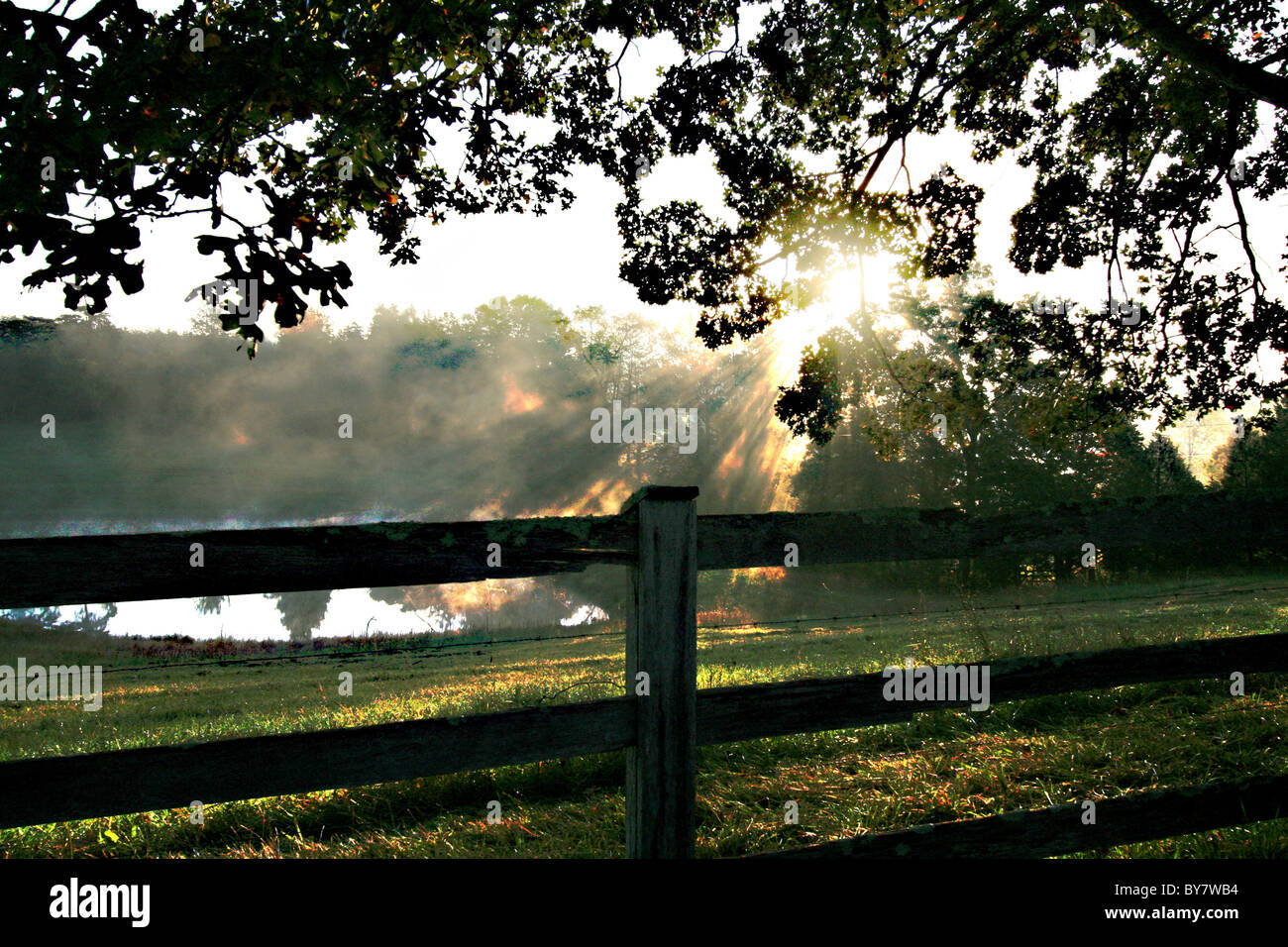 blue ridge mountains sunrise trees Stock Photo - Alamy