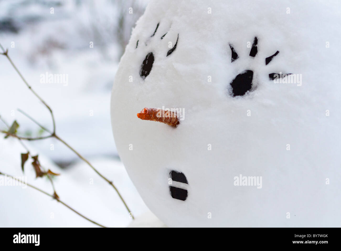 Face of a snowman Stock Photo - Alamy