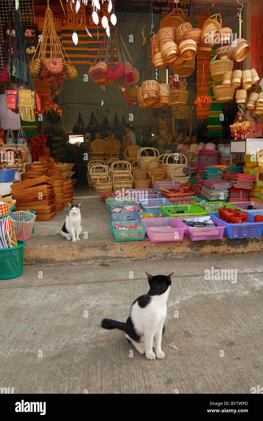 Cats at the Tha Sadet market in Nong Khai, Thailand Stock Photo - Alamy